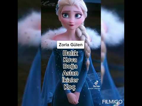 Tiktok Tweet kısa burç vardır 14