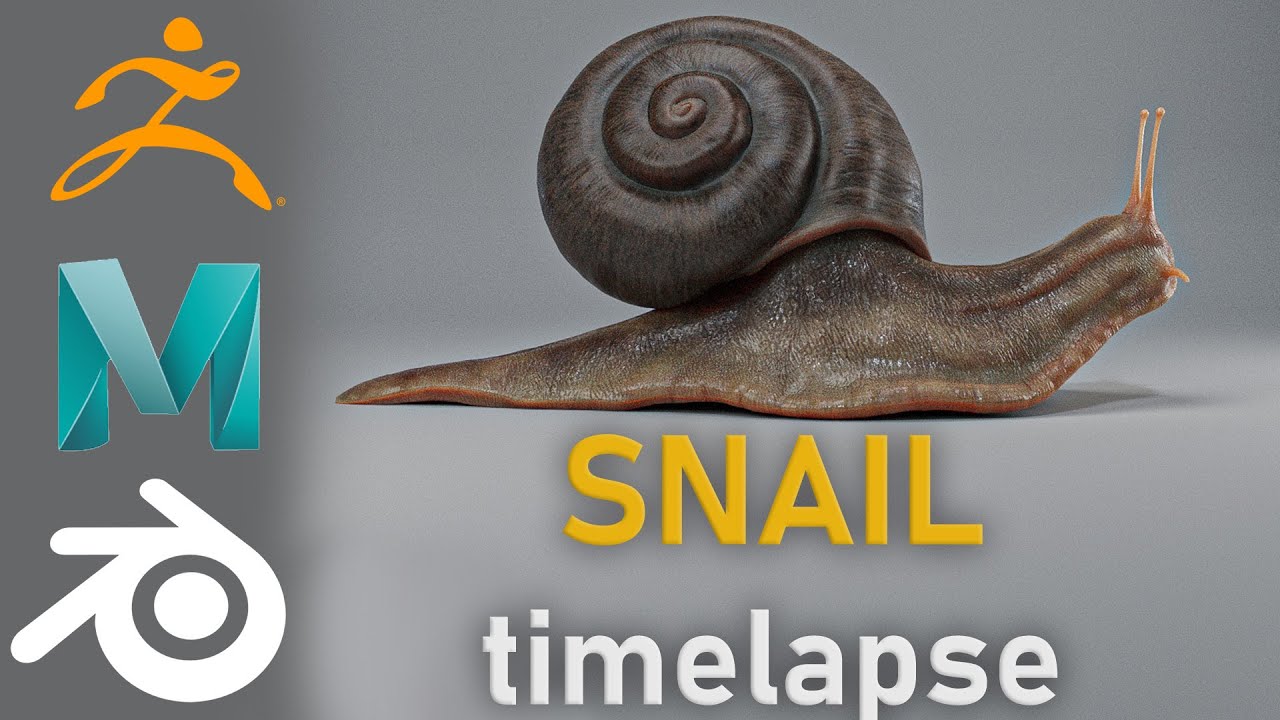 Zbrush Sculpture I Snail - YouTube