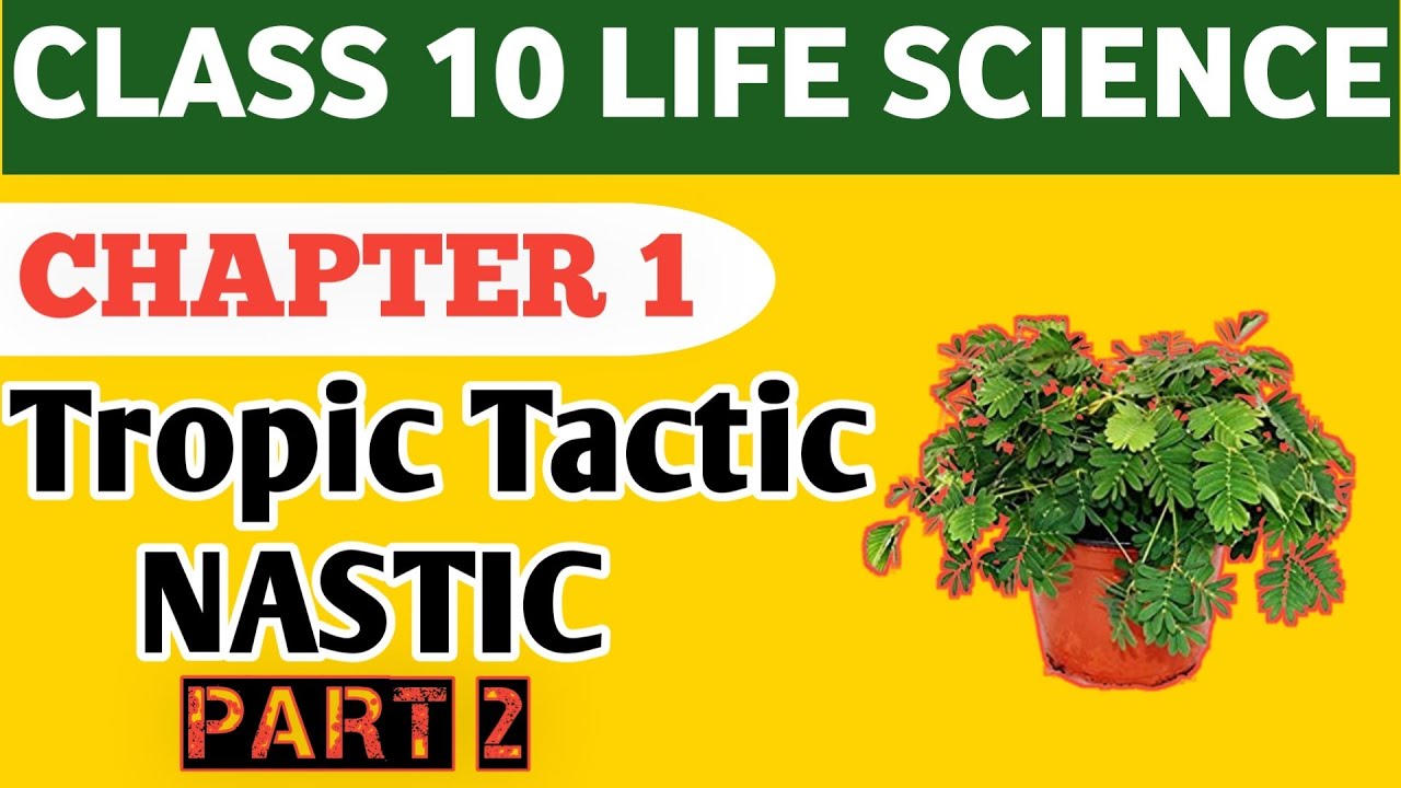 MADHYAMIK LIFE SCIENCE CHAPTER 1| MOVEMENT IN PLANTS | TROPIC | NASTIC ...