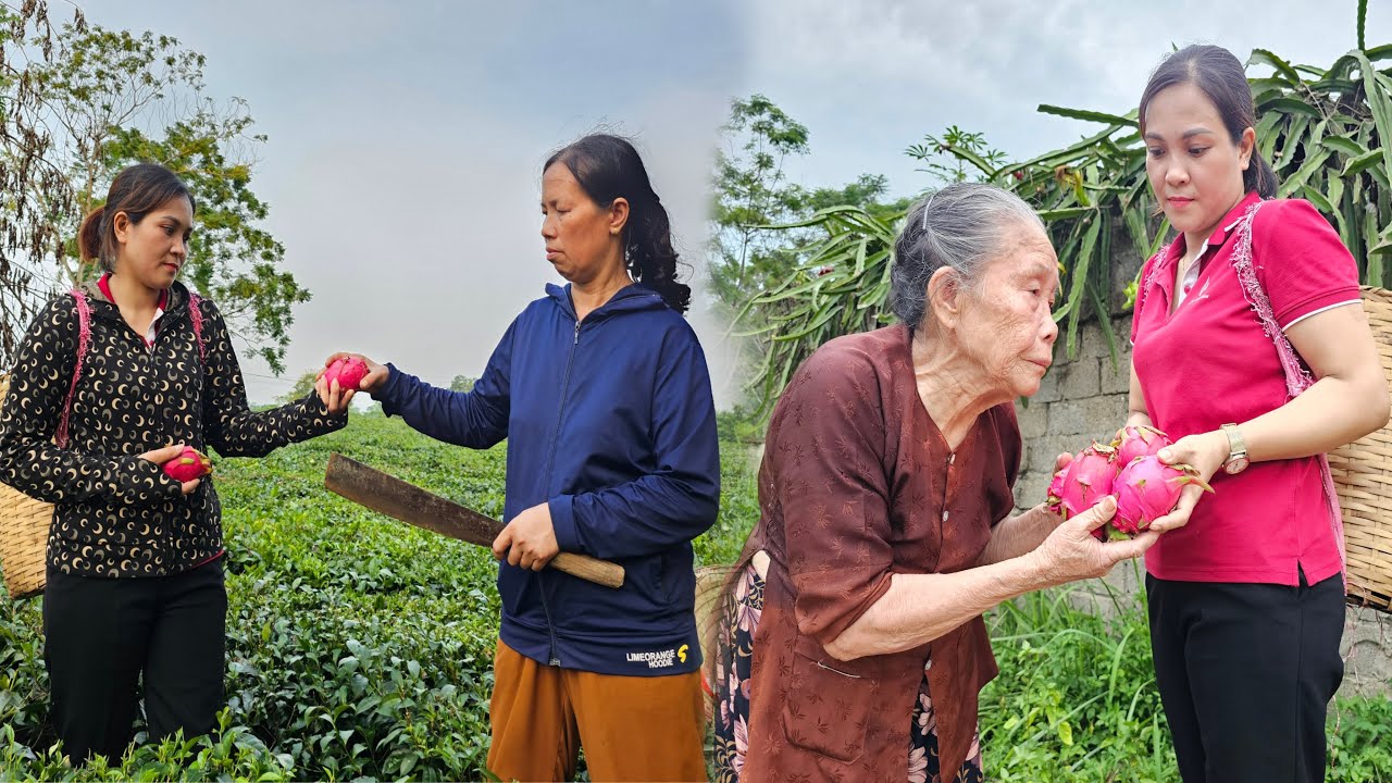 The Mute Wife: help an old lady pick fruit / mother-in-law robbed of ...