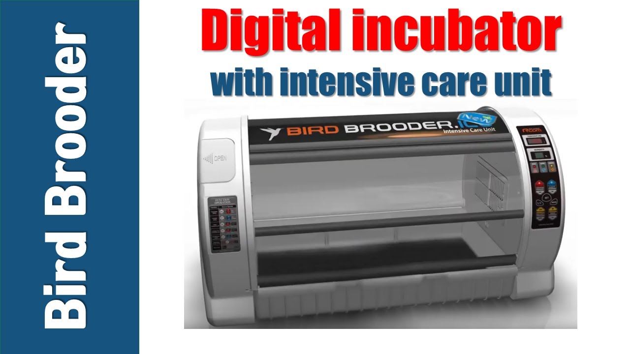 Digital incubator, Nursery Hospital Bird Brooder , Nebulizer, World ...
