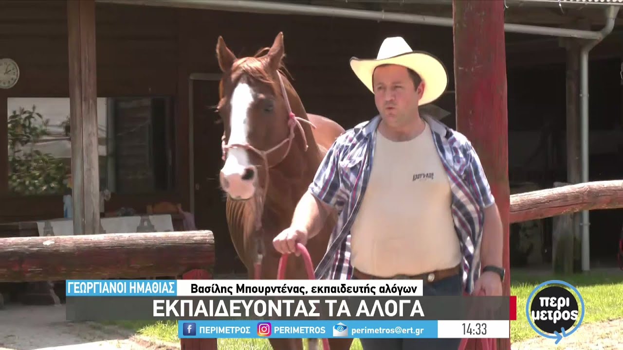 Εκπαιδεύοντας τα άλογα | 25/05/2023 | ΕΡΤ - YouTube