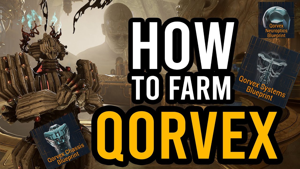 How to Farm QORVEX Warframe | Whispers in The Walls Update - YouTube