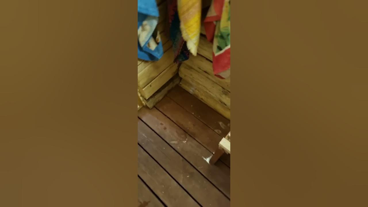 NoniSil антисептик для дерева #мебель #мебельдлякафе #мебельподзаказ # ...