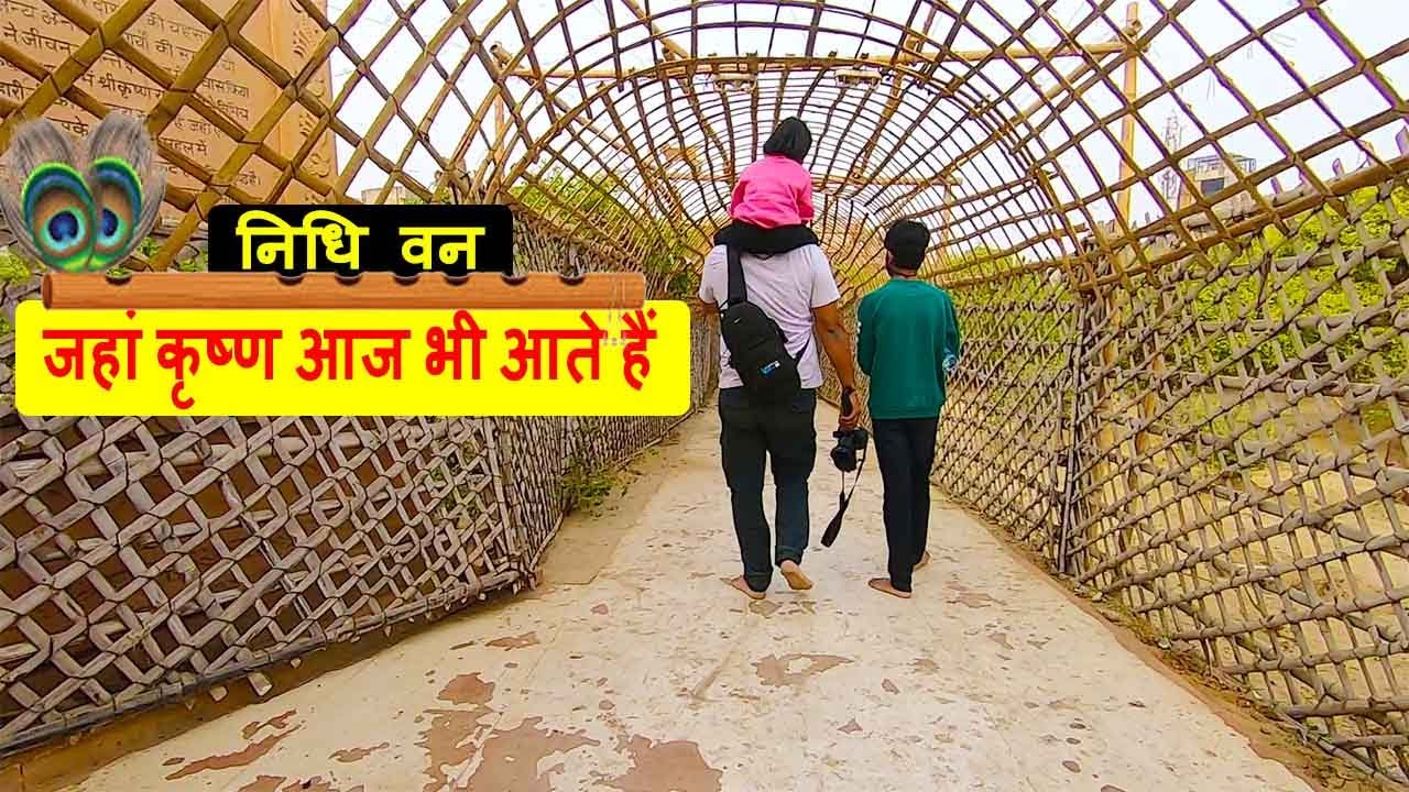 Gokul || Vrindavan || Nidhi van || Mathura Darshan vlog - YouTube