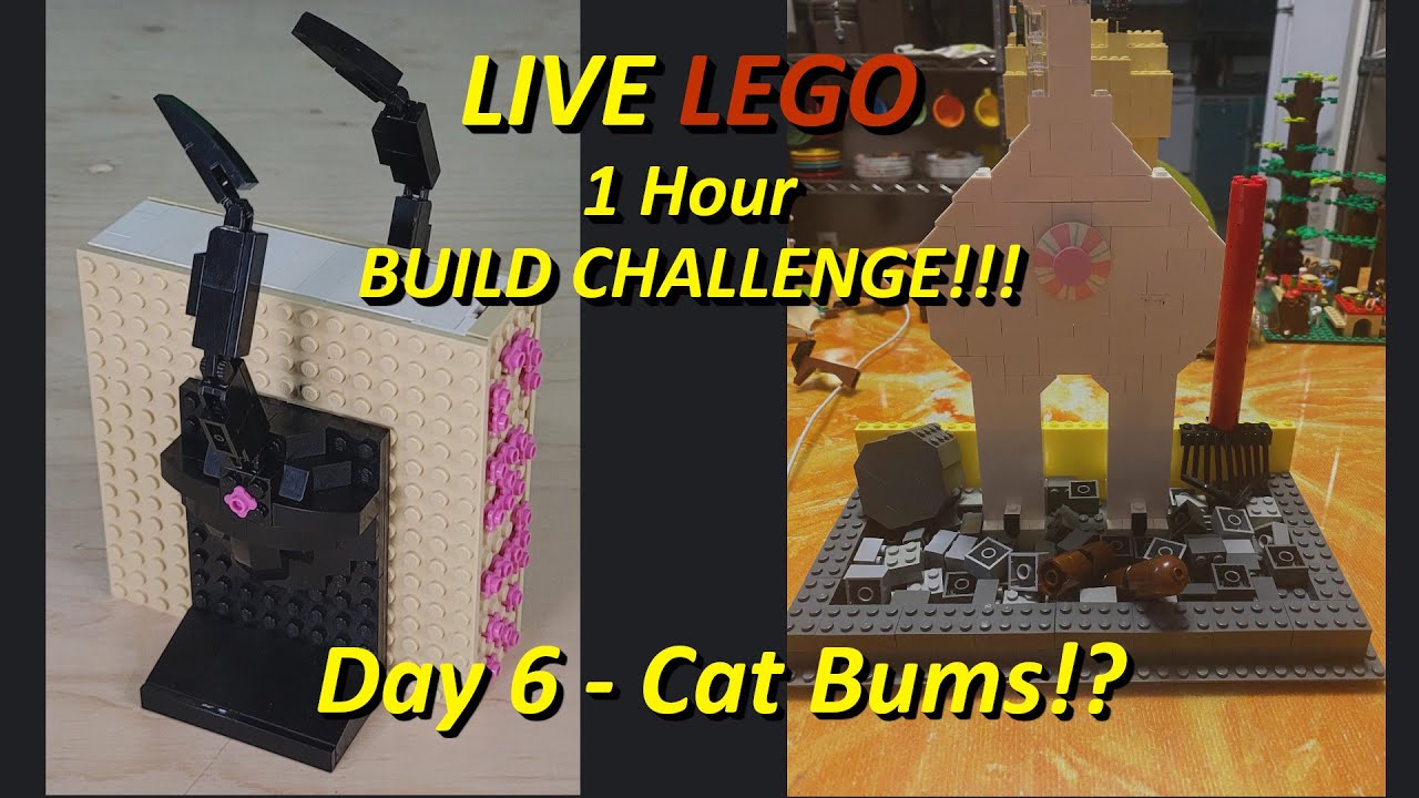 LIVE 1 Hour LEGO Build Challenge!!! Cat Bums??? - YouTube