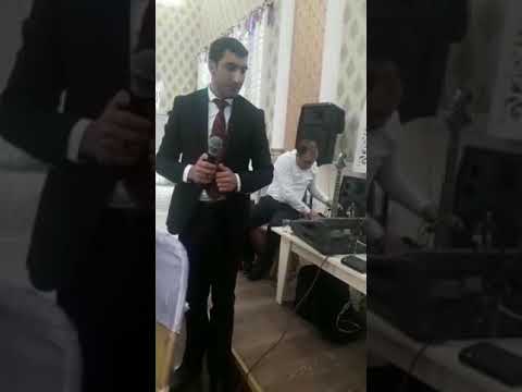 Orxan Beyleroglu Berde toyu