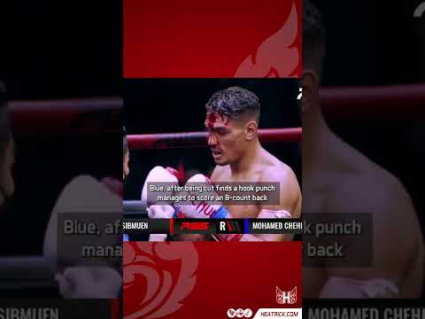Sibmuen vs. Mohamed Cheboub – Muay Thai Fight Analysis #Shorts
