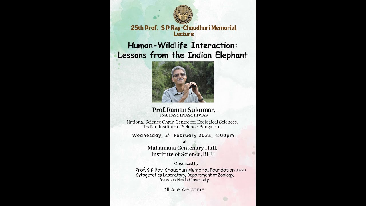 25th Prof.S.P. Ray-Chaudhuri Memorial Lecture:Lessons from the ...