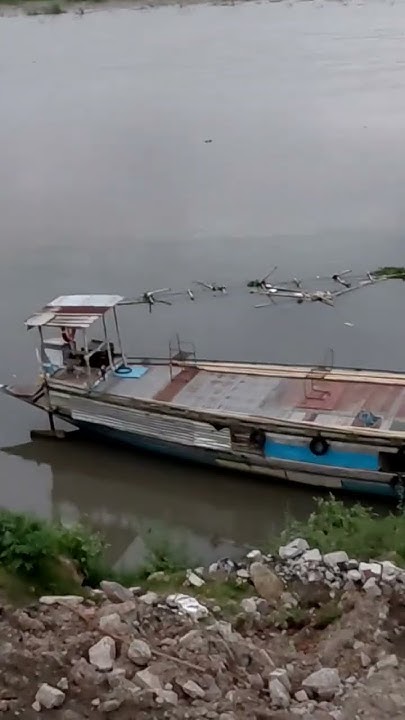 beautiful Assam #nature - YouTube