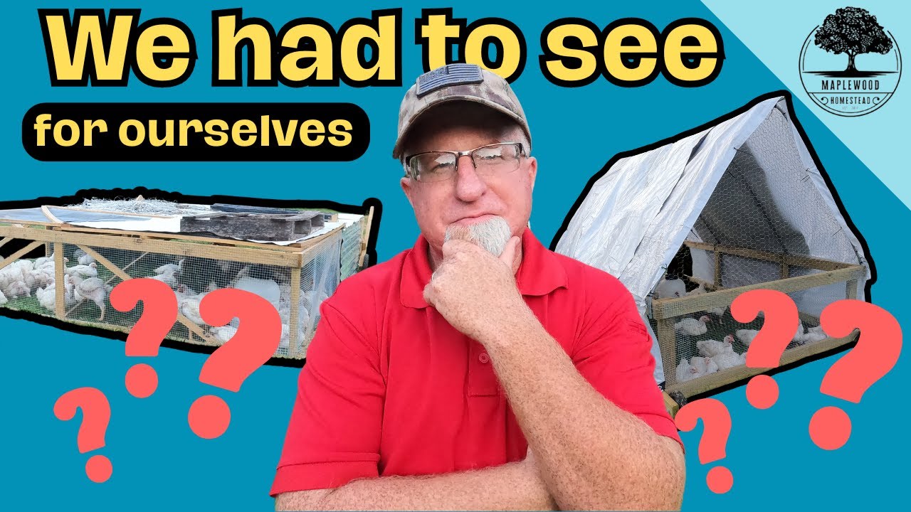 Which is Right for a Small Farm? | Suscovich vs Salatin Chicken ...