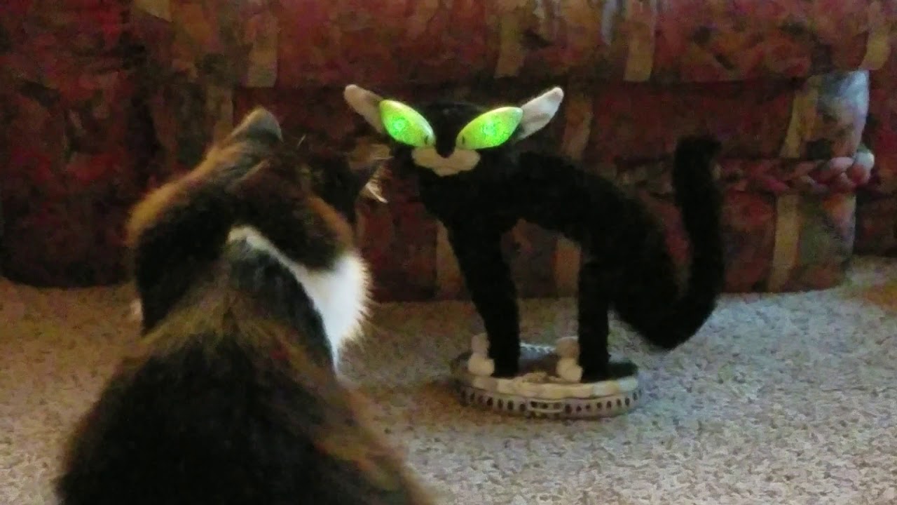 Gemmy Black Alley Cat Animatronic Halloween Decoration - YouTube