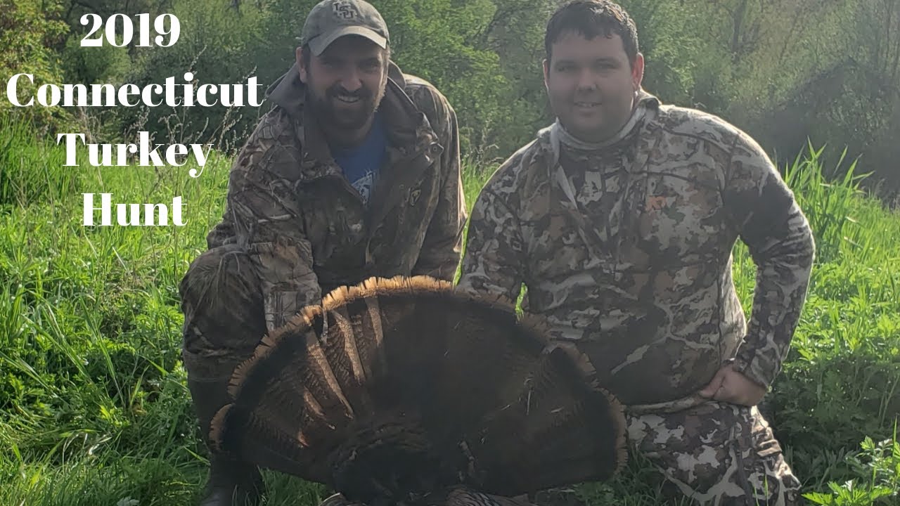 Turkey hunt Connecticut 2019 - YouTube