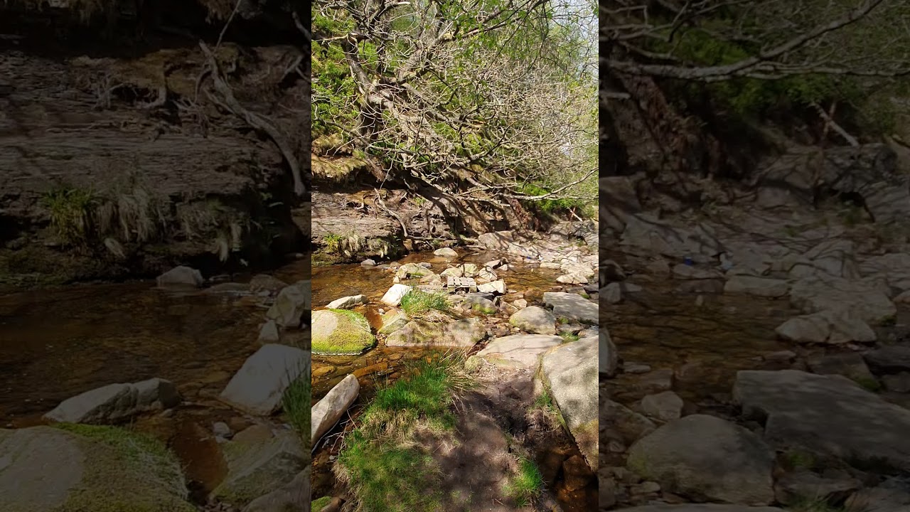 Pick District - YouTube