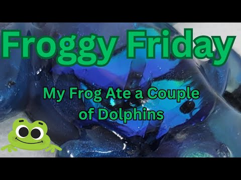 #119 Dolphin Frog - YouTube