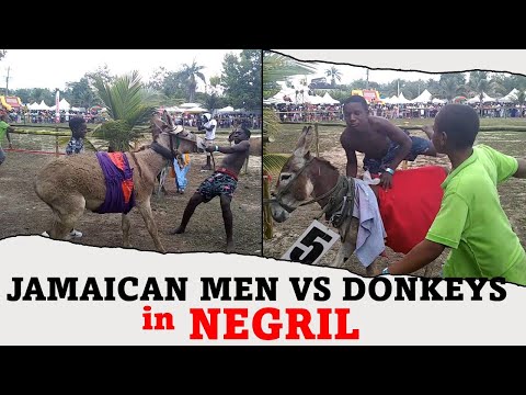 Jamaican Men vs Donkeys (Rotary Club's Negril Donkey Races)