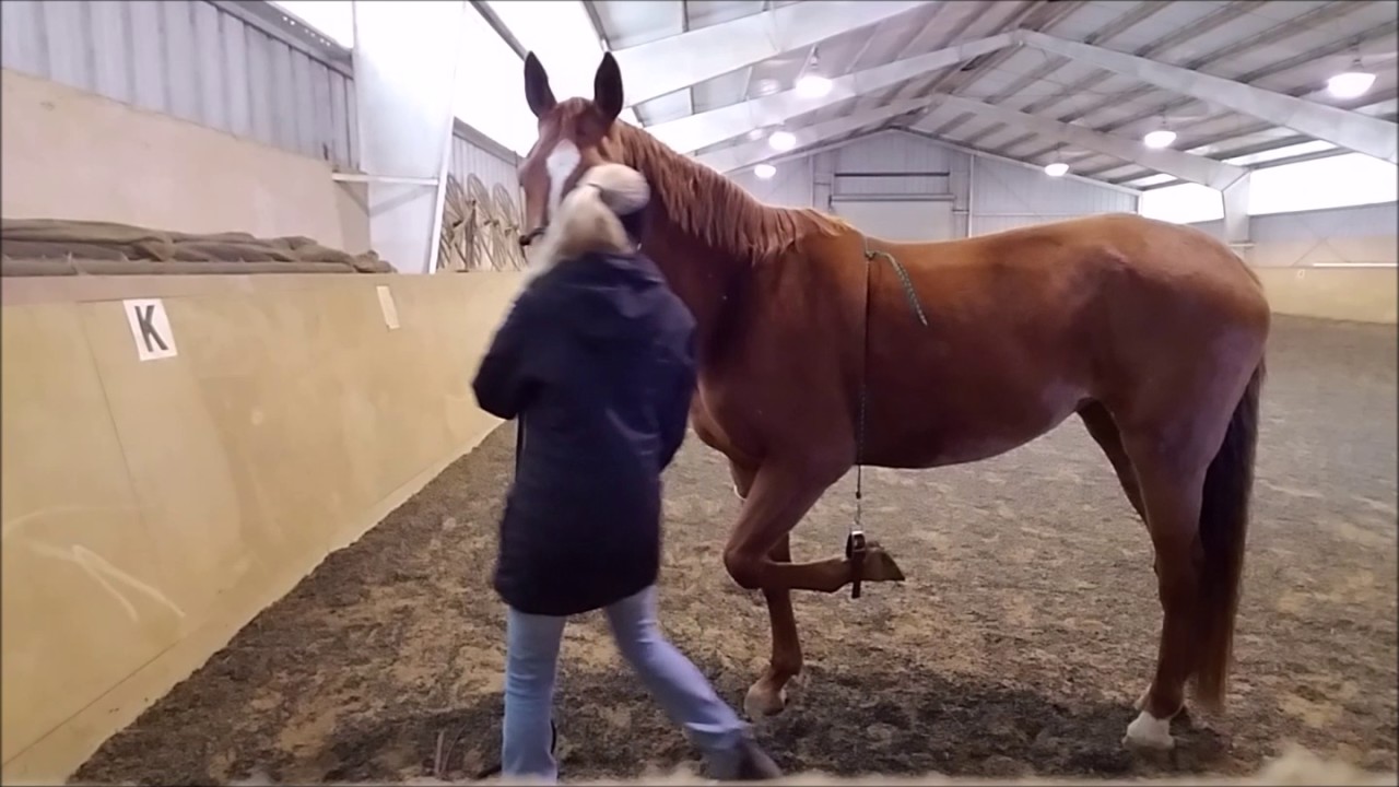 Single Leg Hobble (School Project) - YouTube