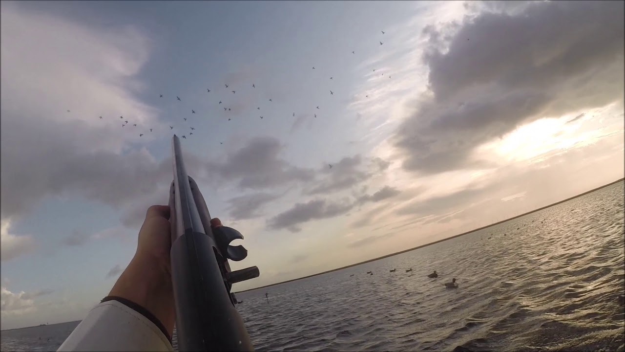 Duck hunting on open water 2019 - Denmark - YouTube