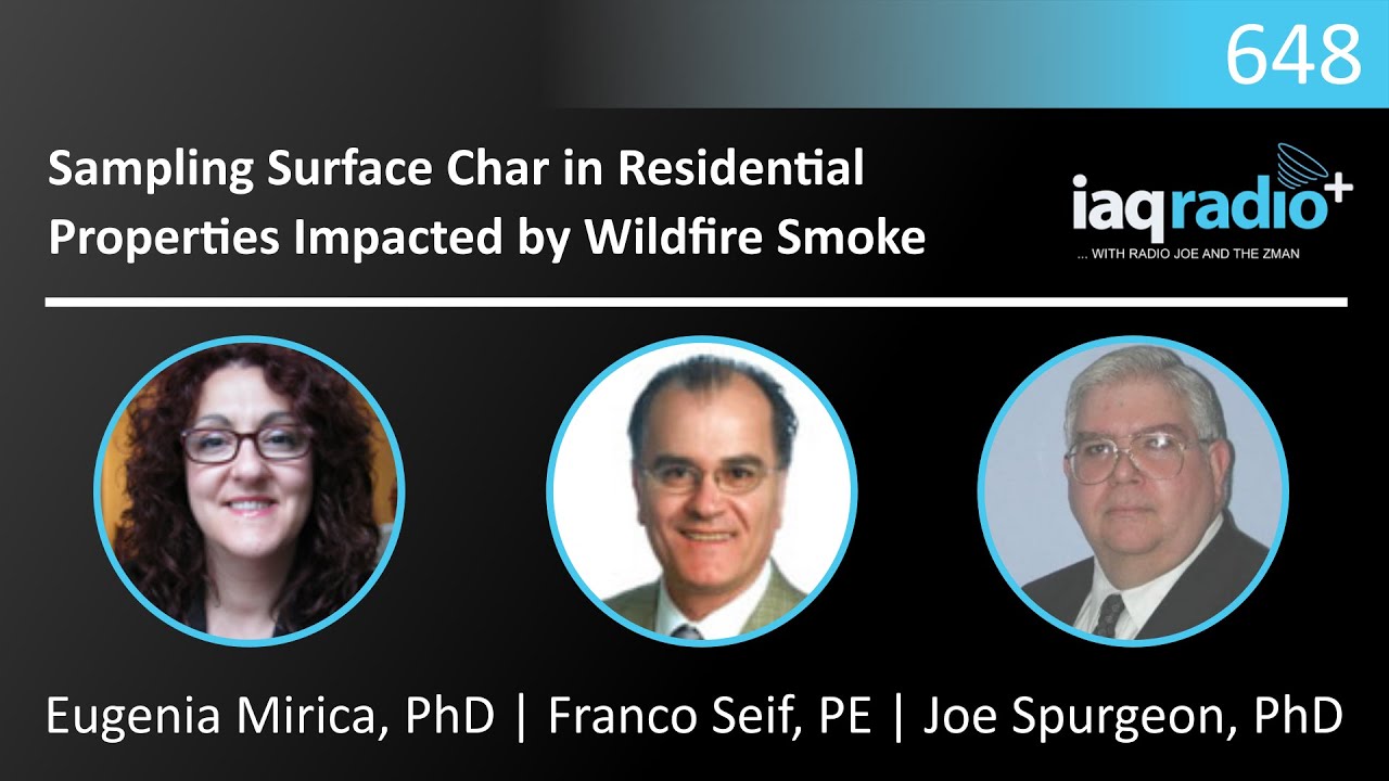 648: Eugenia Mirica, PhD - Franco Seif, PE - Joe Spurgeon, PhD - YouTube