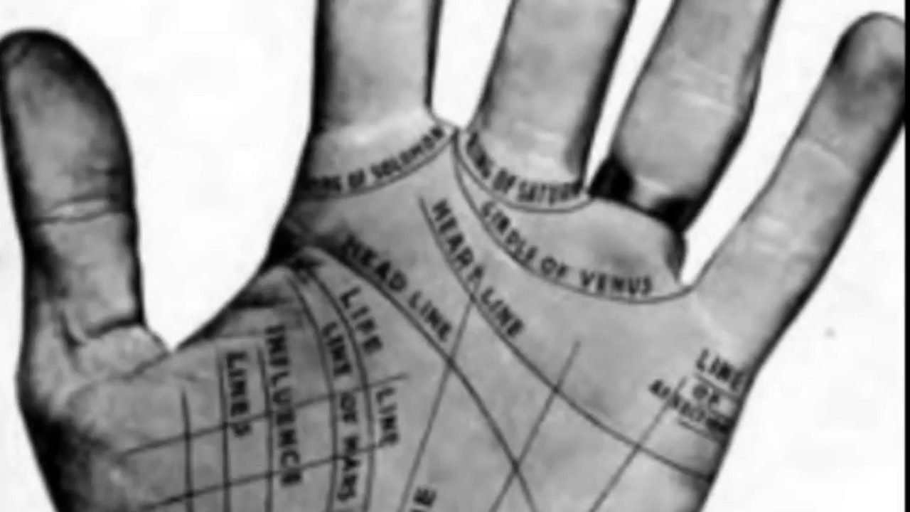 Semua bisa Palmistry (Cara cepat mudah dan akurat dalam membaca garis ...