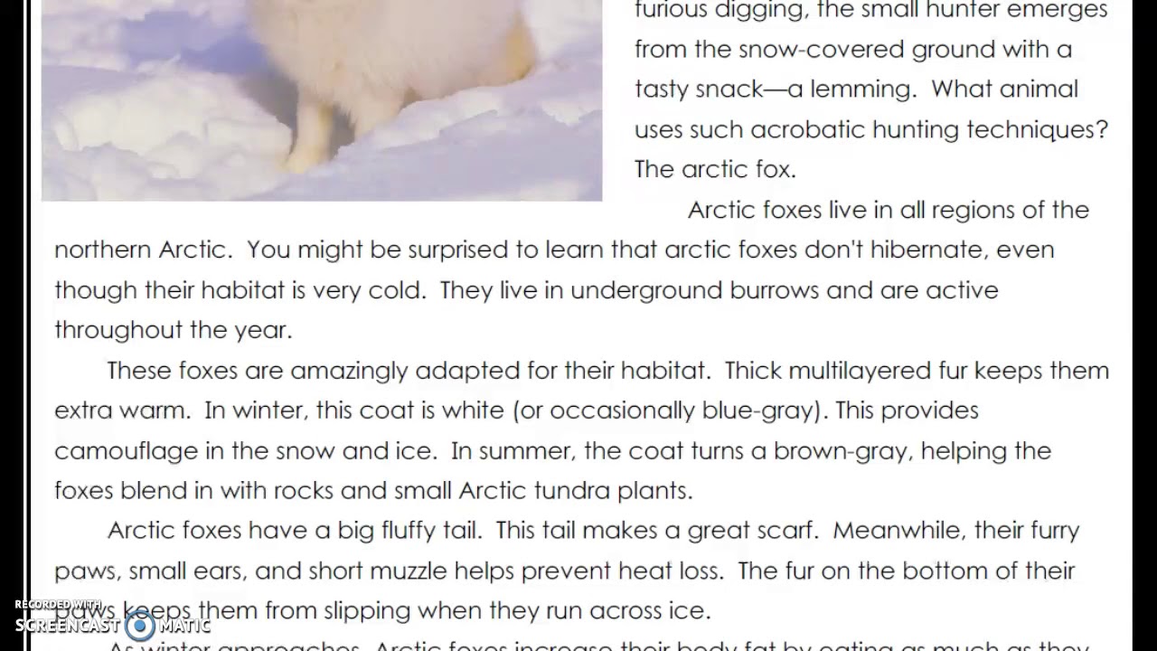 Reading Comprehension - Arctic Fox - YouTube