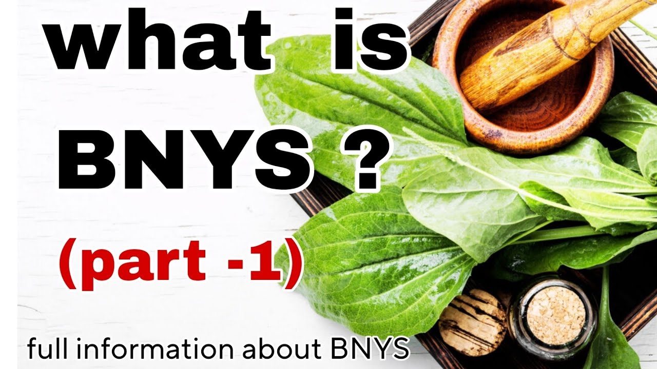 What is BNYS course || Natureveda Education || #bnys #naturopathy # ...