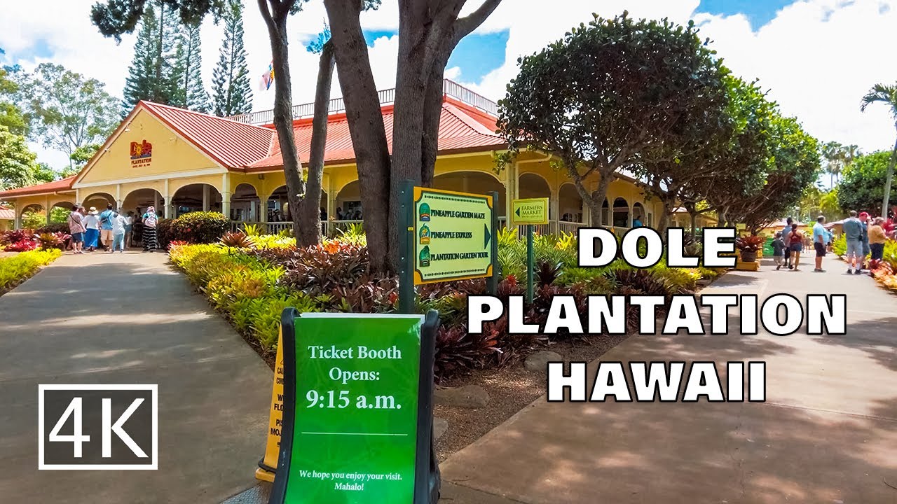 [4K] Dole Pineapple Plantation - Oahu Hawaii USA - Walking Tour - YouTube