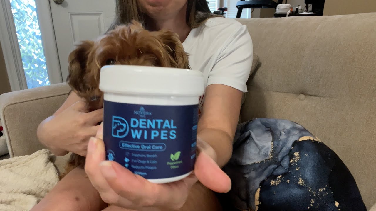 My Dog Loves The Taste Of These Minty Dog Dental Wipes | Fresh Breath ...
