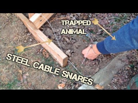 How To Make Locking Cable Snares - YouTube