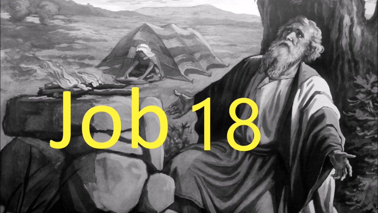 Job 18 - YouTube