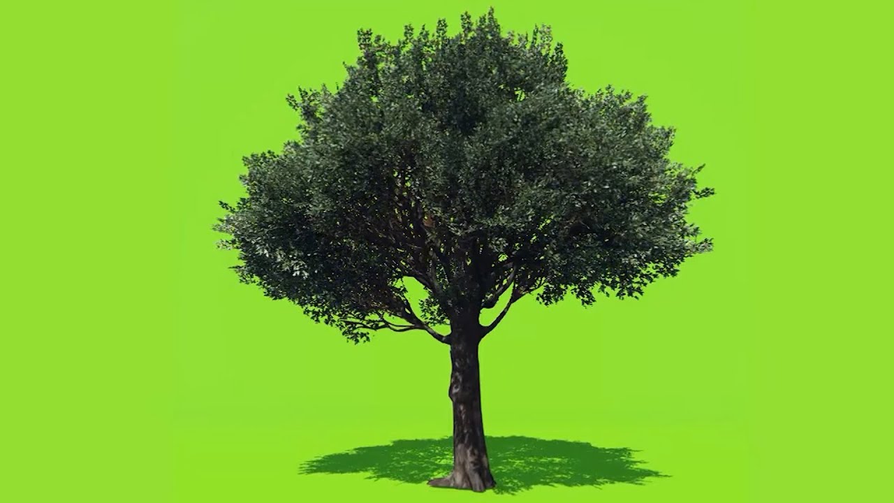 Green Screen Trees Moving || GTA V MODS || VFX Effects - YouTube