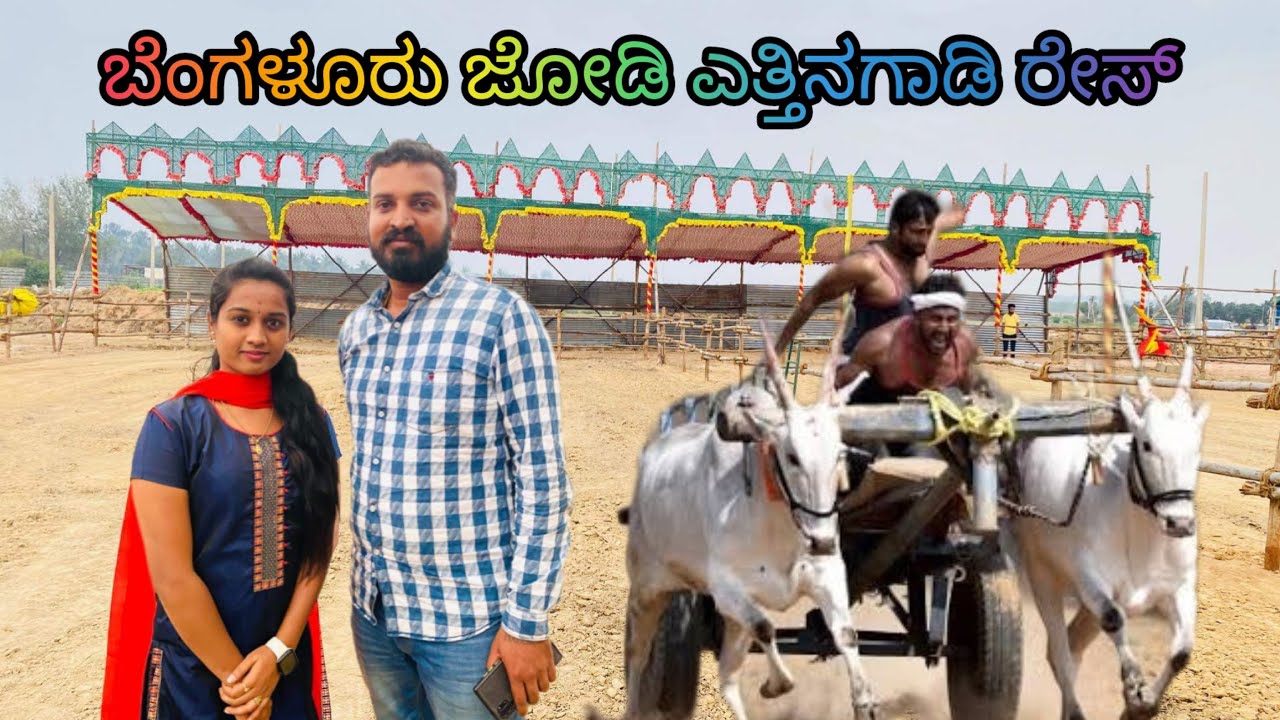 ಕೆಟ್ಟದಾಗಿ comment ಹಾಕುವವರಿಗೆ ಚಳಿ ಬಿಡಿಸಿದ ಹಳ್ಳಿಕಾರ್ ಒಡೆಯ ಸಂತೋಷ್ ...