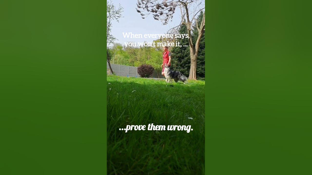 𝕂𝕖𝕖𝕡 𝕪𝕠𝕦𝕣 𝕙𝕖𝕒𝕕 𝕦𝕡 Youtube