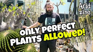 The perfect succulent garden? Huge cacti, pristine Pachypodiums and so much more