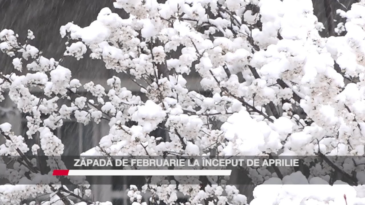 Zăpadă de februarie la început de aprilie - YouTube