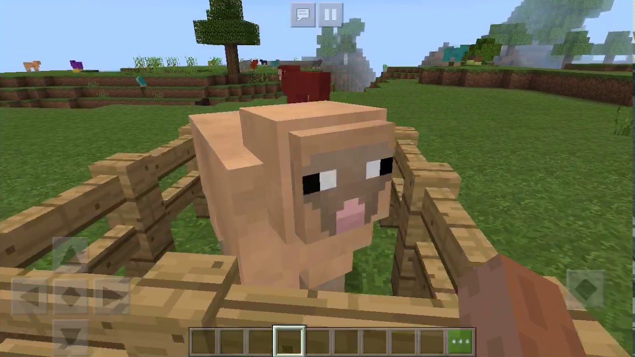 How to make a disco sheep - YouTube