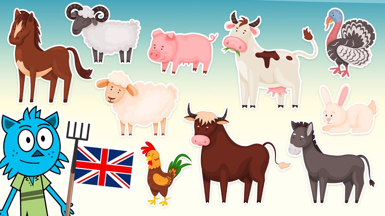 Farm Animals 🐇🐄 | Kids Show - Real Animal Sound - YouTube
