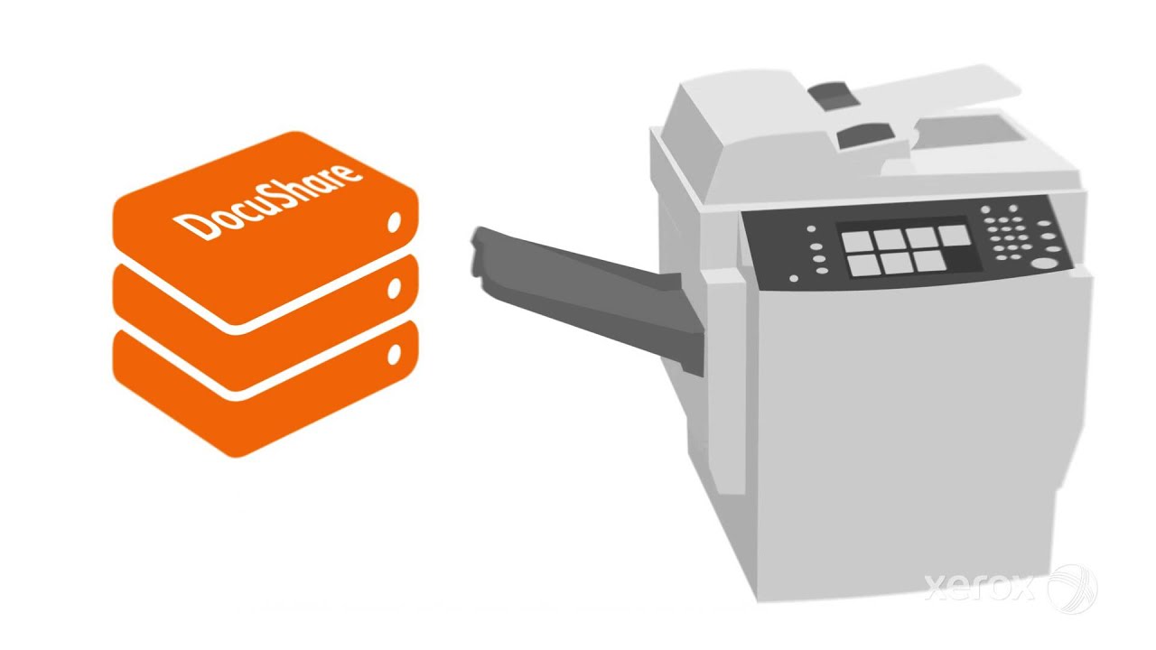 Animated case study - YouTube