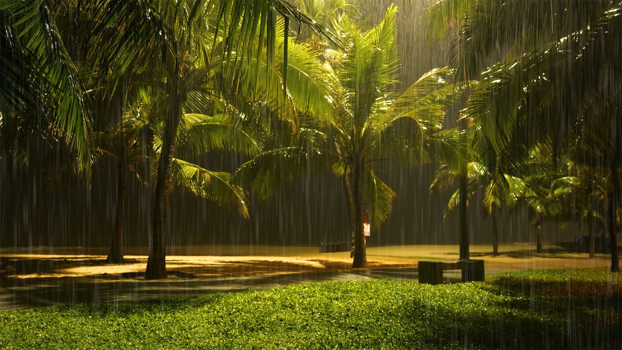 Rain in the Park | Beat Insomnia and Stress in 5 Minutes with ...