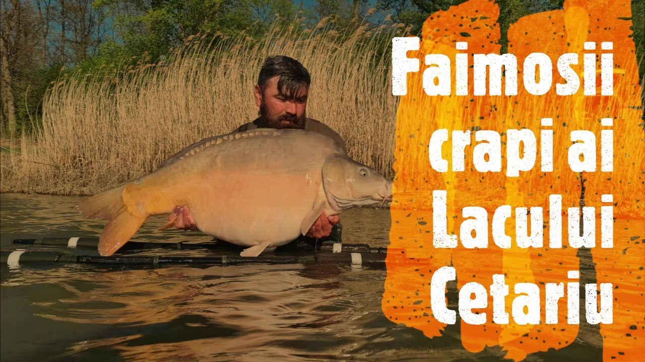Episodul 4 - Faimoșii crapi ai Lacului Cetariu Aprilie 2022 4K - YouTube