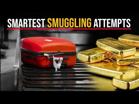 10 Smartest And Creative Smuggling Attempts - YouTube