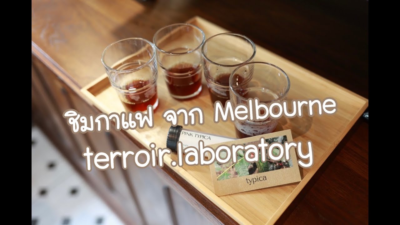 ชิมกาแฟจาก terroir.laboratory - YouTube