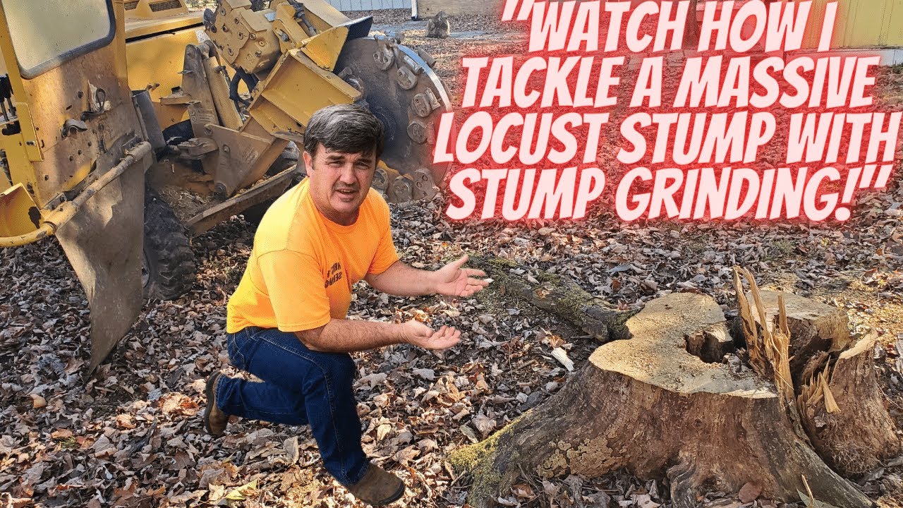 Is Stump Removal of a Locust the Hardest - YouTube