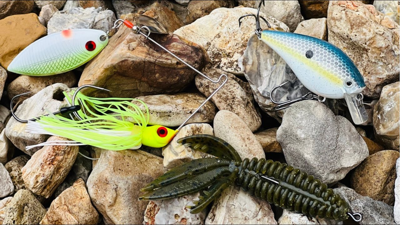 Top 3 Best Beginner Bass Fishing Baits - YouTube