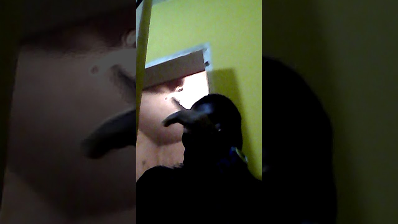 Tyrese Brown the boss - YouTube