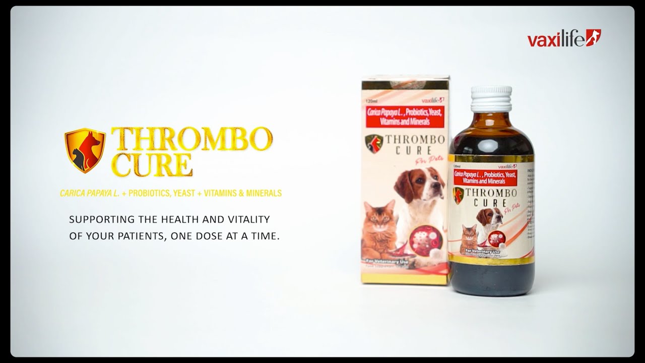 Thrombo Cure Video Presentation - YouTube