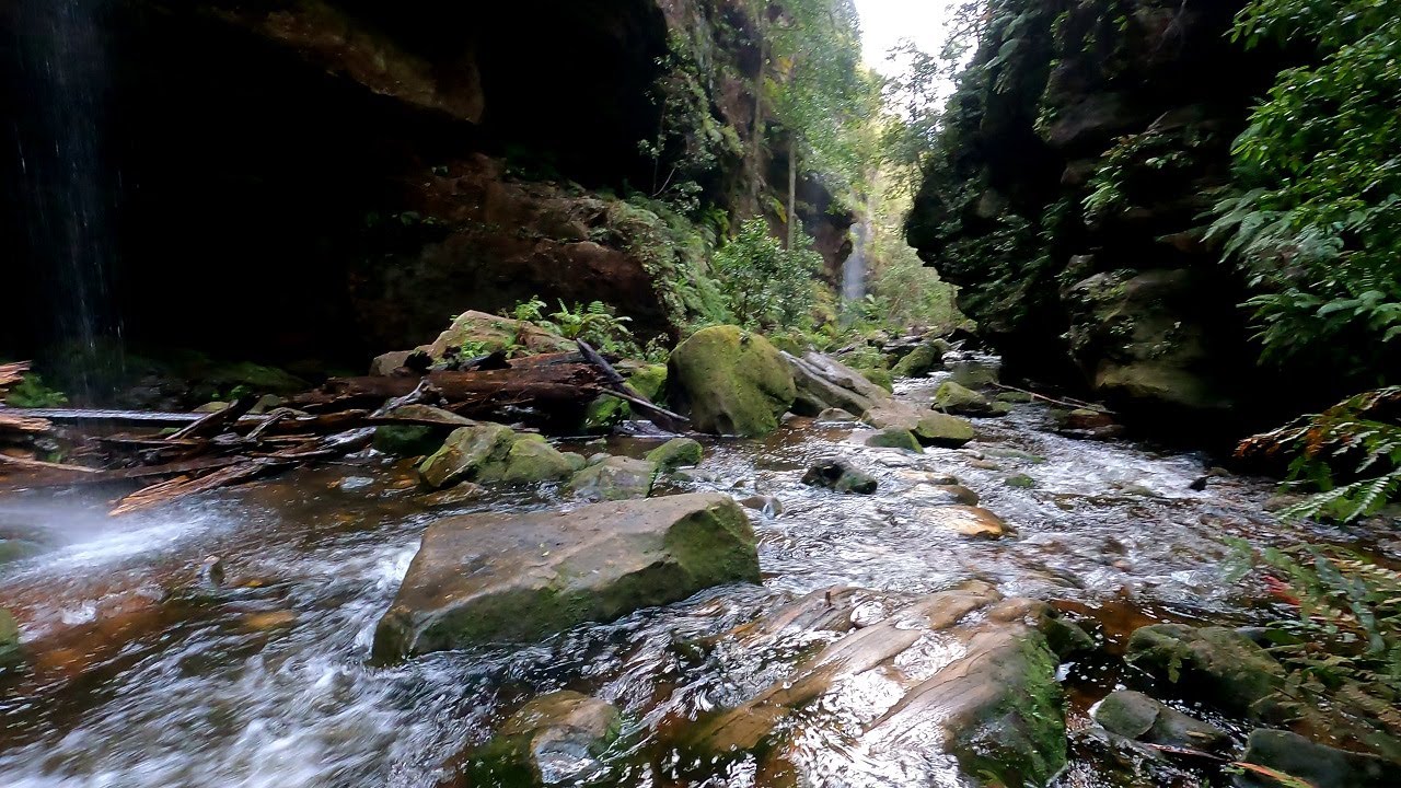 Grand Canyon track to Beauchamp Falls in the Blue mountains - YouTube