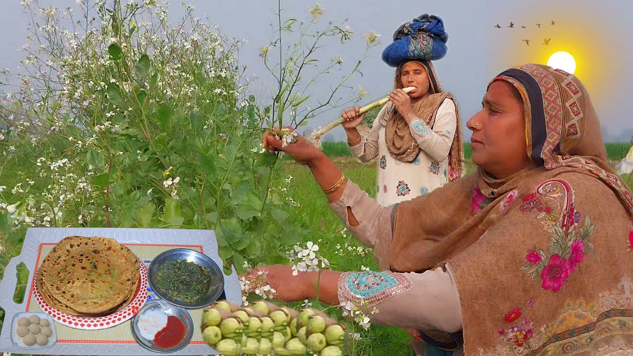 Village Life Punjab | Mongra ka paratha | Sogri ka paratha Recipe ...