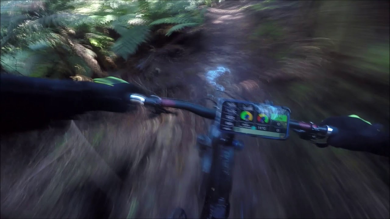 Blue Tier Trail Tasmania - YouTube