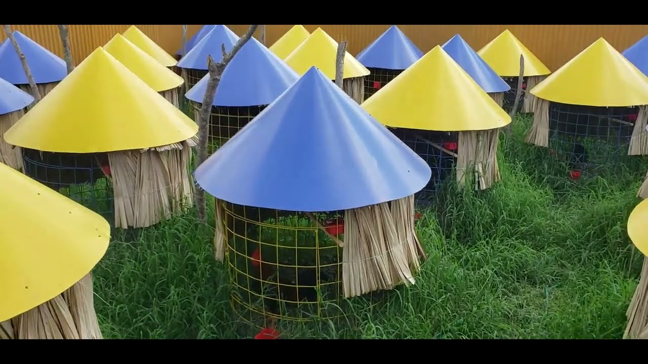 De Visita Donde Nuestro Querido Amigo Wilson Basilio - YouTube